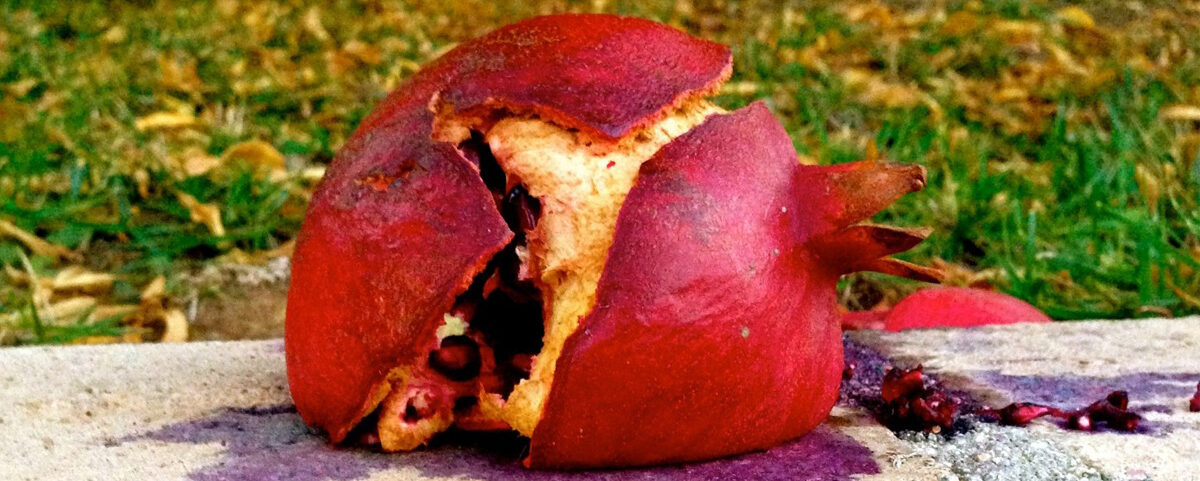 Crystal AC Salas | Poet. Essayist. Community Organizer. Educator.